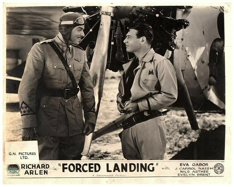 Forced Landing image