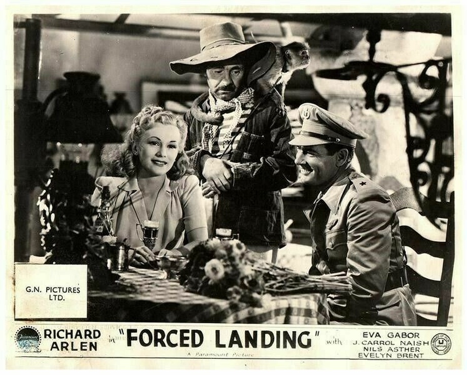 Picture of Forced Landing