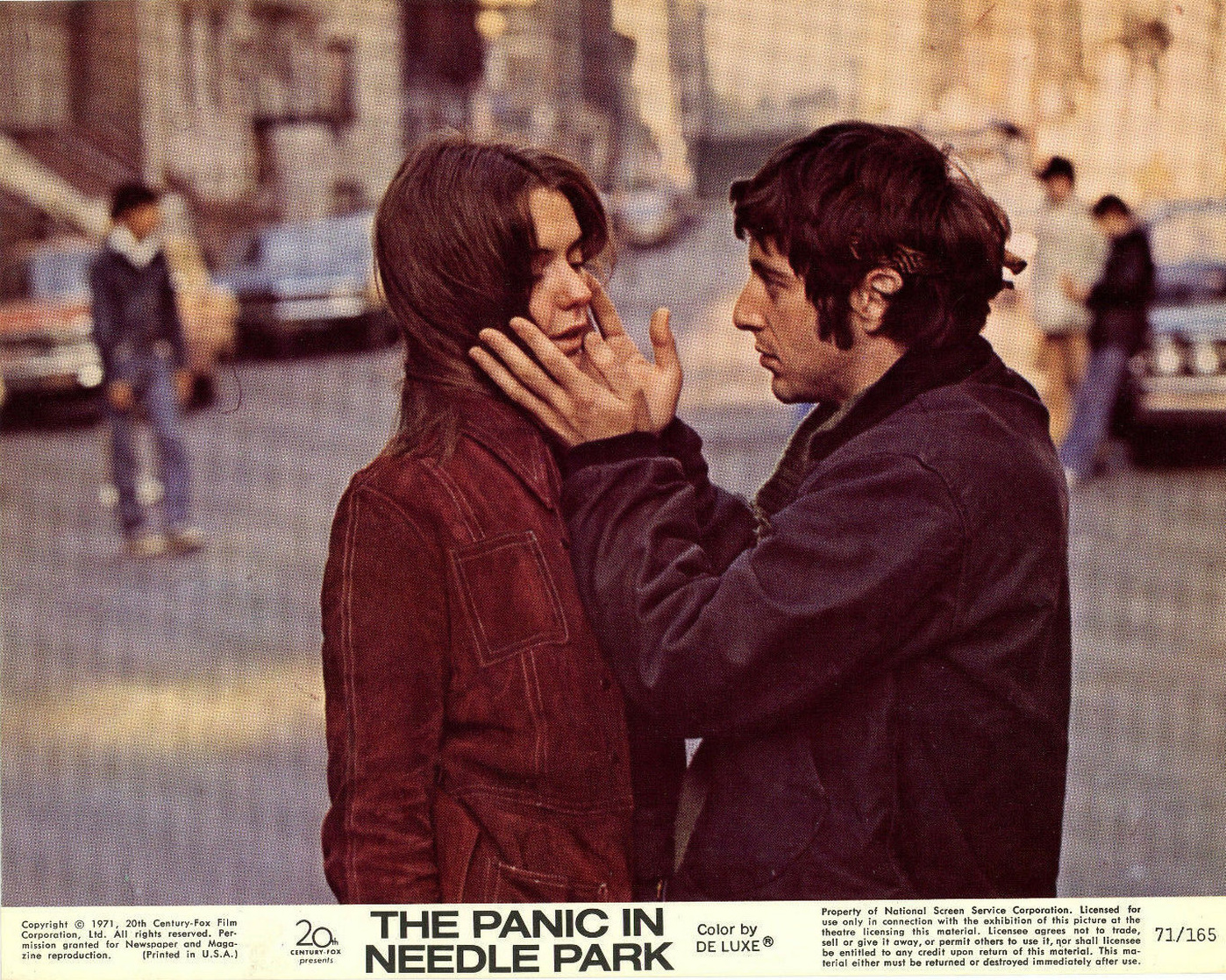 Picture of The Panic in Needle Park