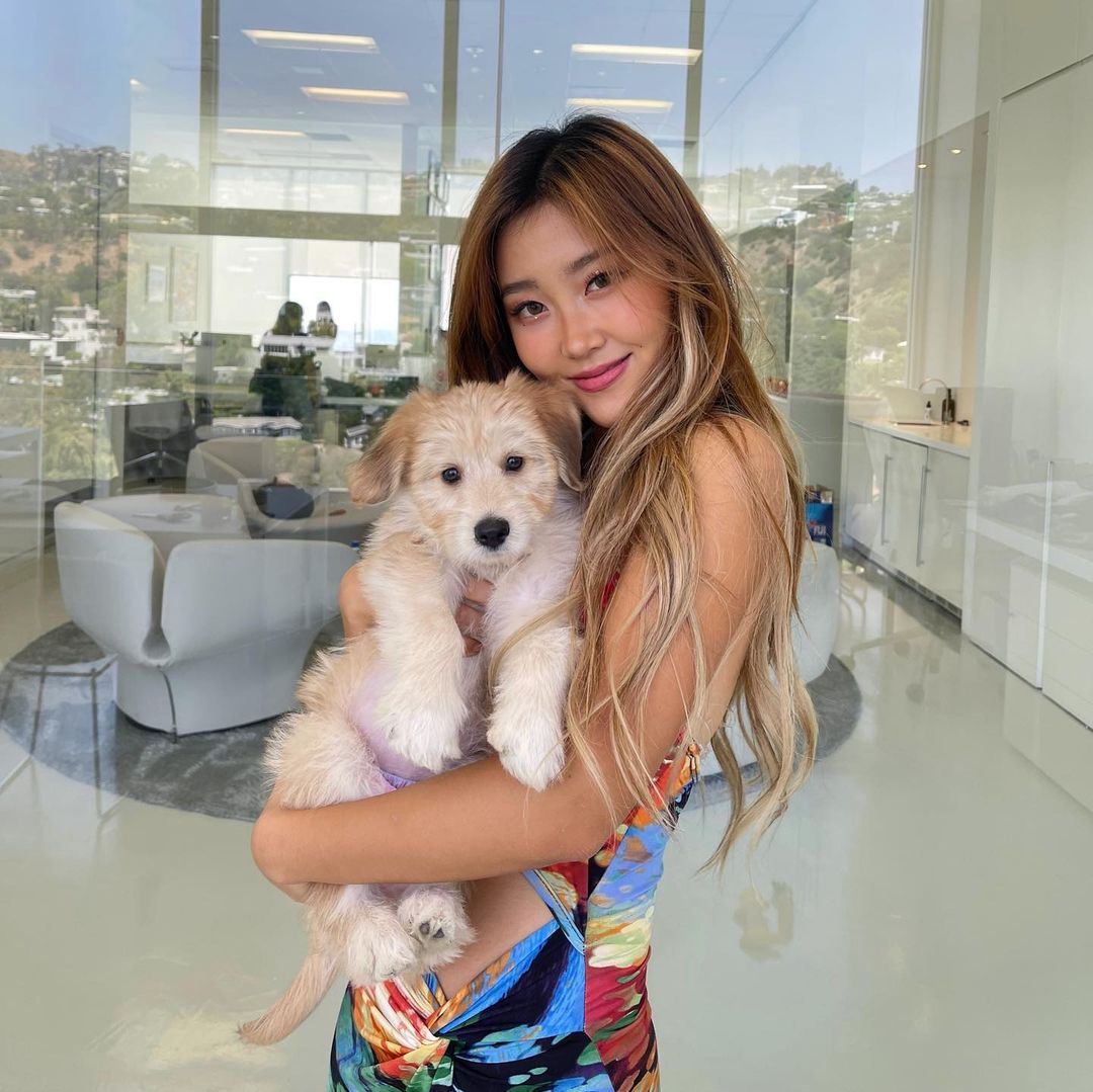 Picture of Heyoon Jeong