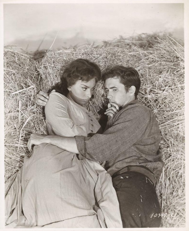 Picture of Desire Under the Elms (1958)