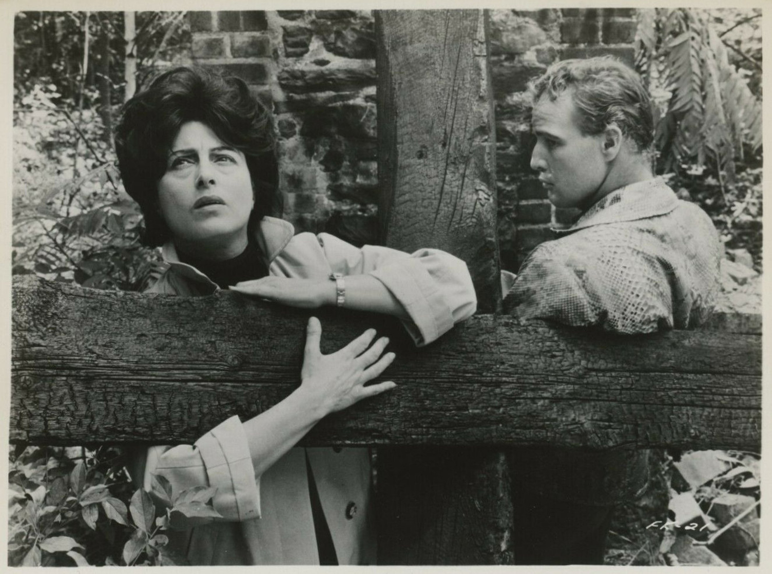 Picture of The Fugitive Kind