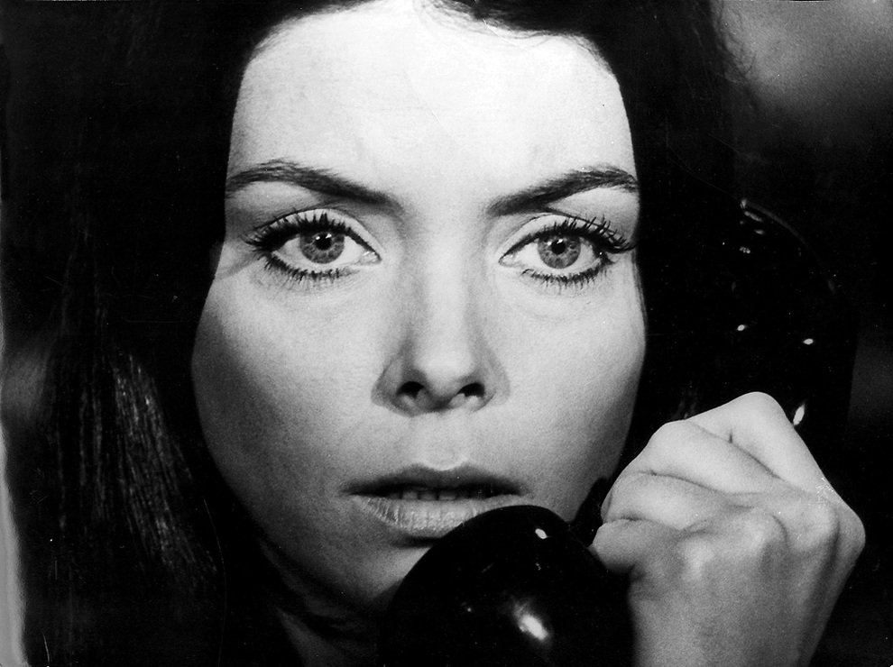 Picture of Patty Shepard