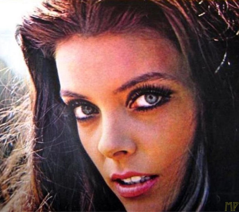 Picture of Patty Shepard