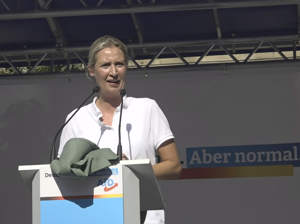 Picture of Alice Weidel