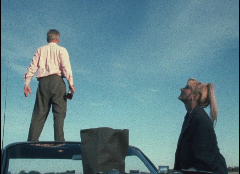 Picture of Wanda (1970)