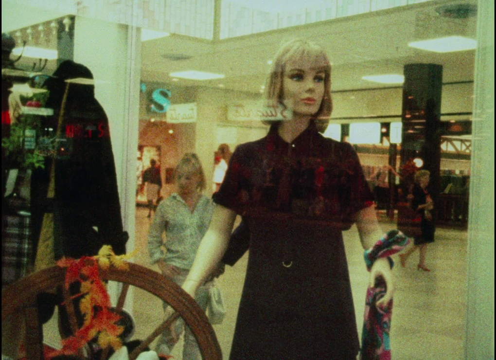 Picture of Wanda (1970)