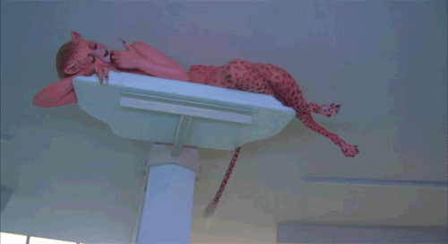 Picture of Cremaster 3 (2002)