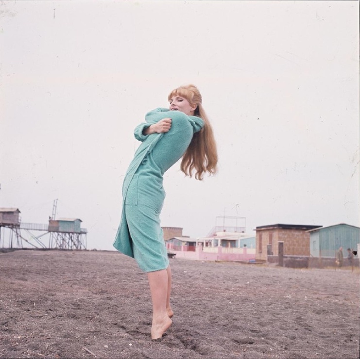 Picture of Scilla Gabel