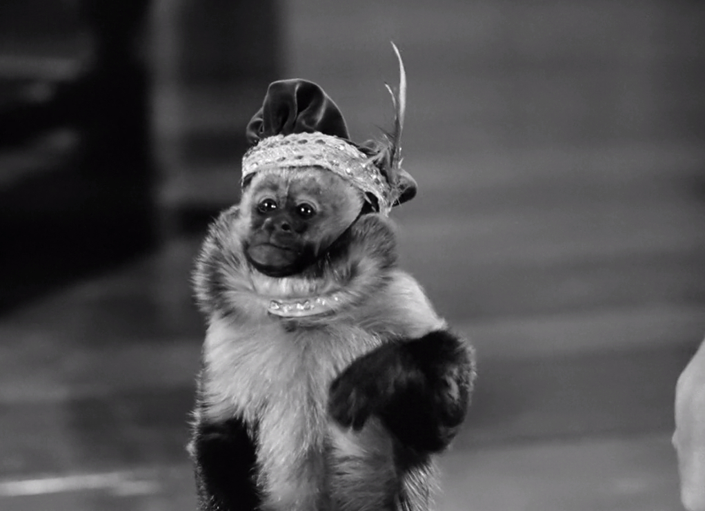 Picture of The Sea Hawk