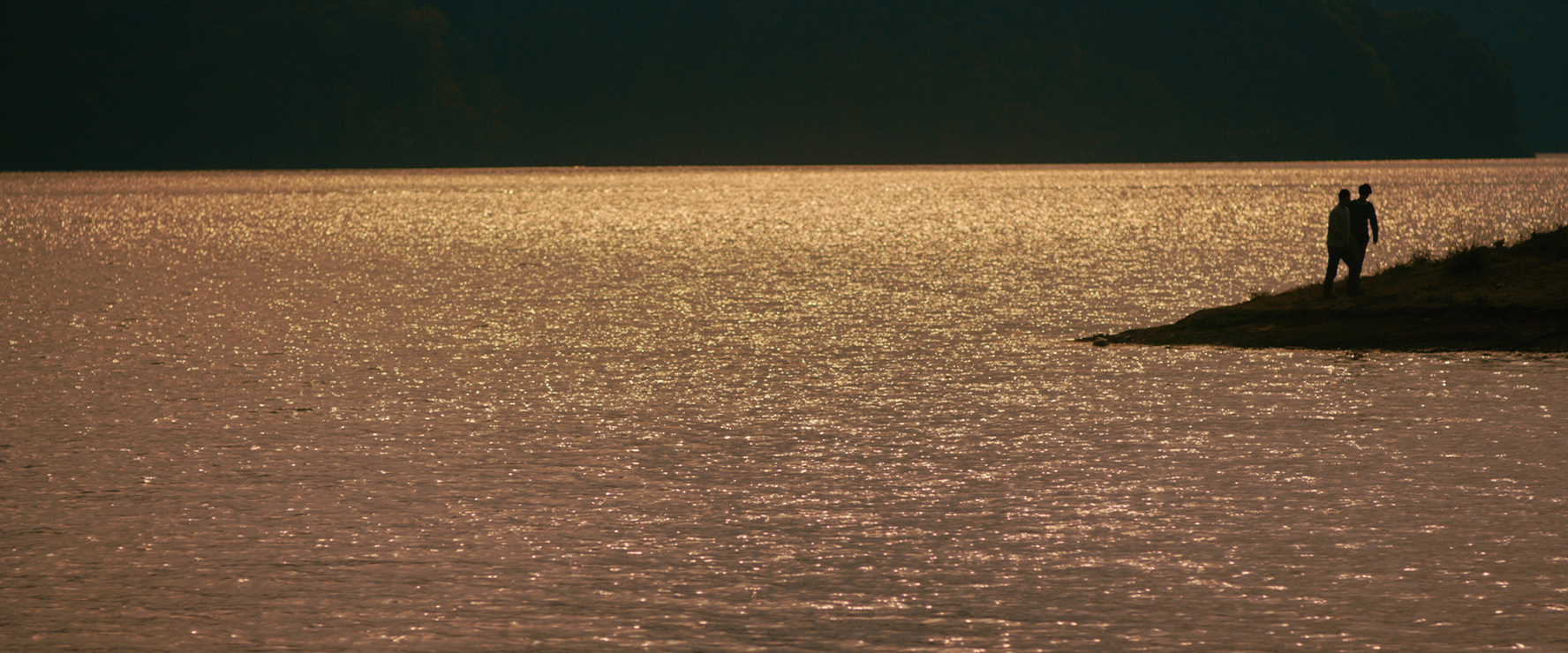 Picture of A Distant Place