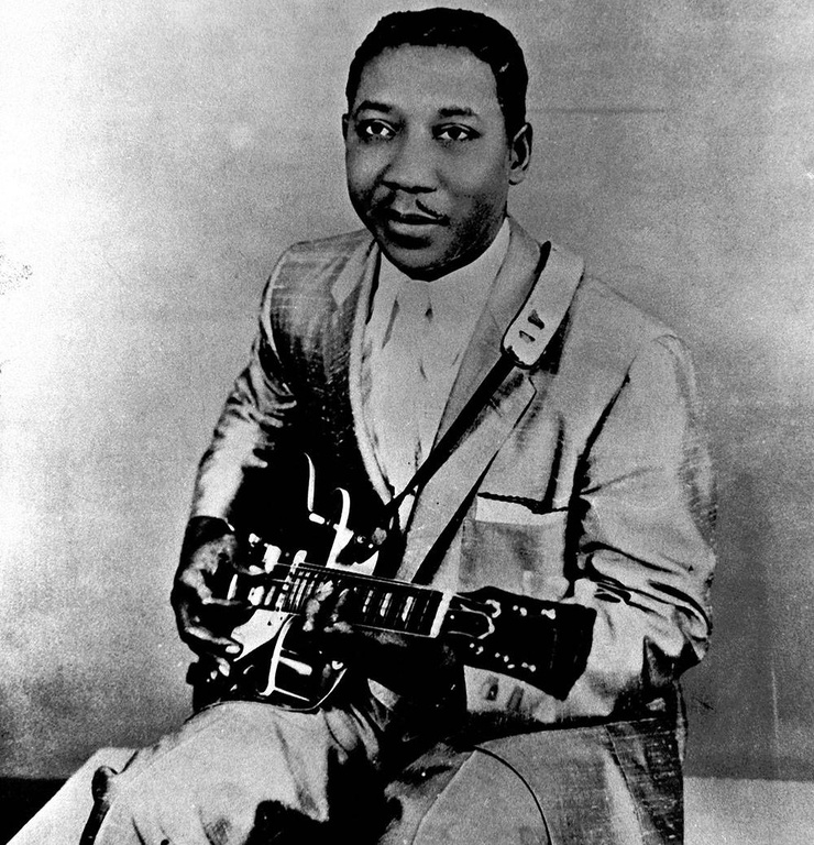 Muddy Waters picture