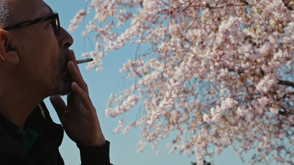 Picture of The Last Chapter