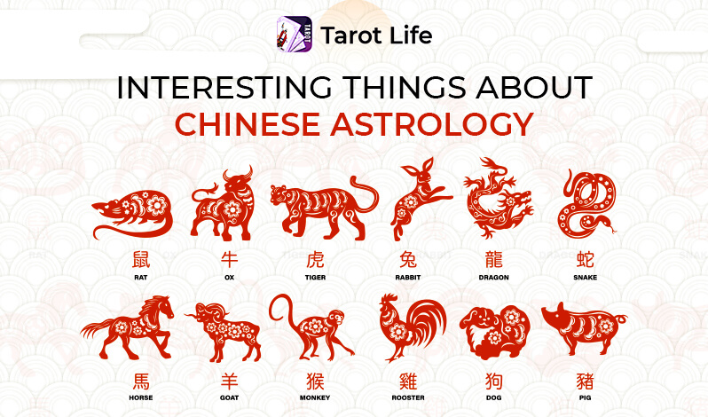 Chinese Astrology - Chinese Zodiac Signs,