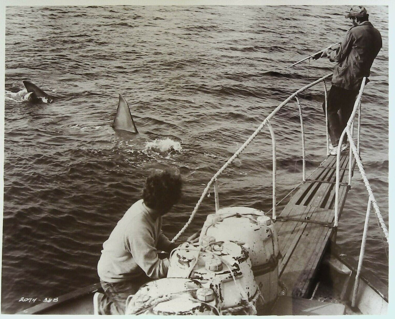 Image of Jaws (1975)