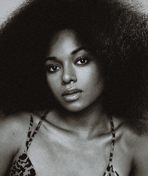 Picture of Jessye Romeo