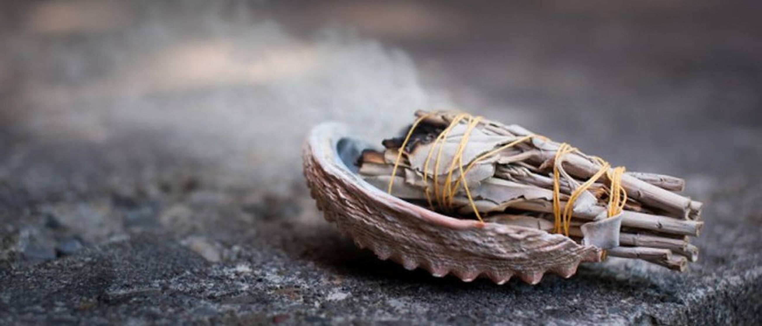 Traditional Healer in South Africa - Chief Mpisi