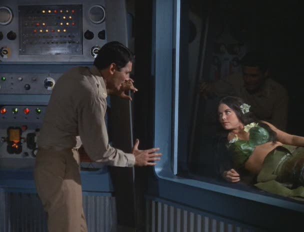 Picture of Diane Webber