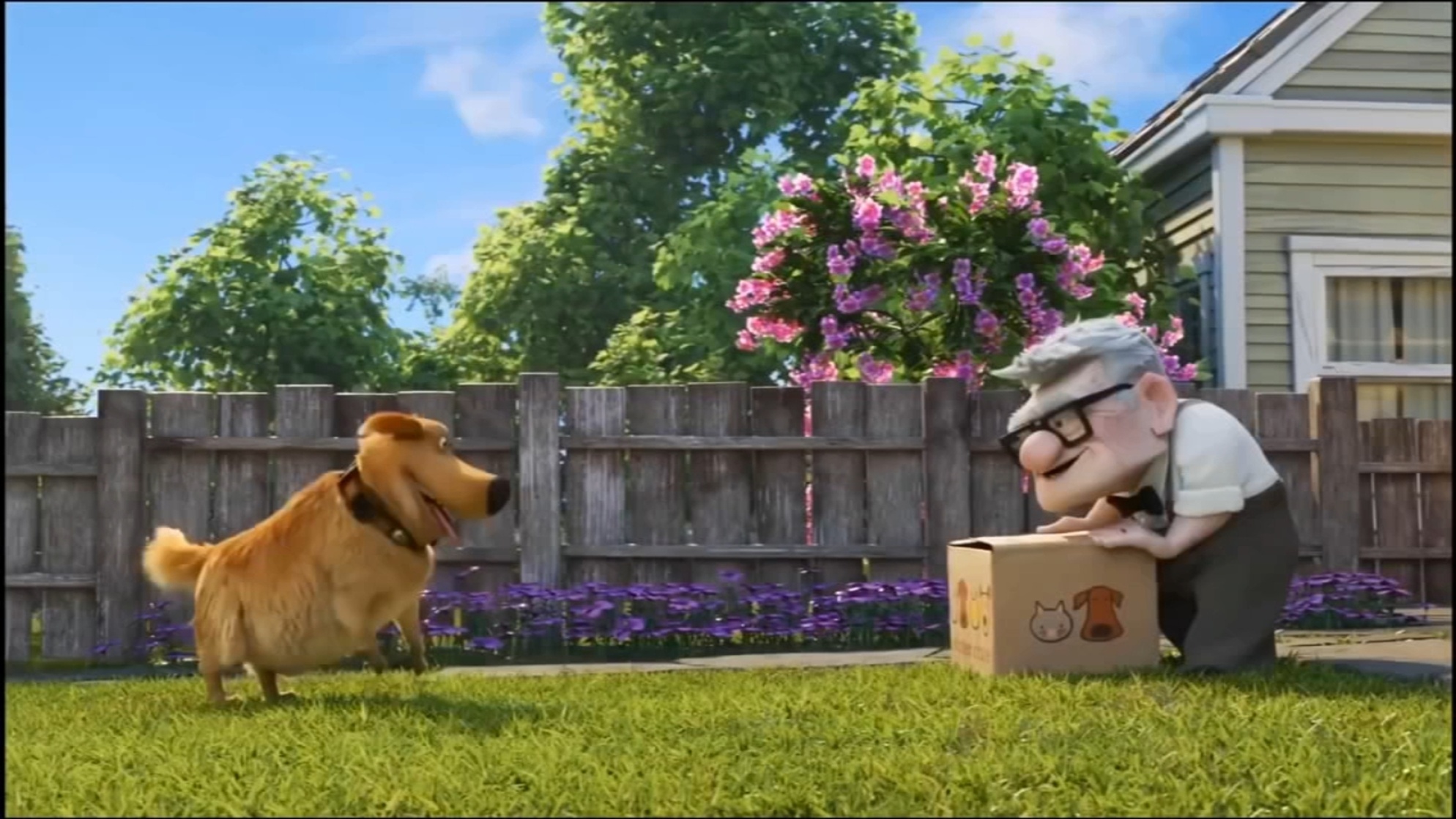 Picture of Dug Days