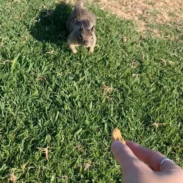 Destiny Delisio image