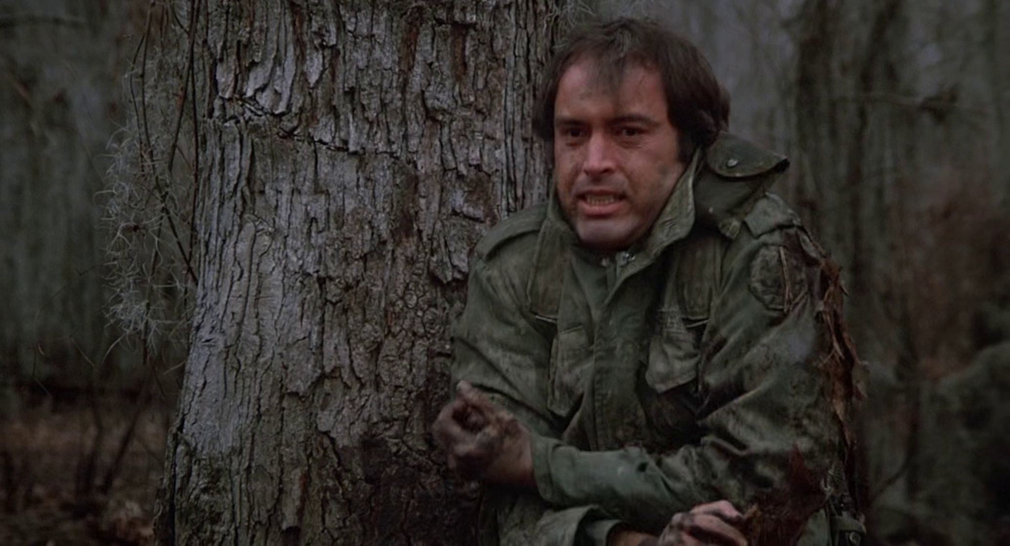 Southern Comfort image