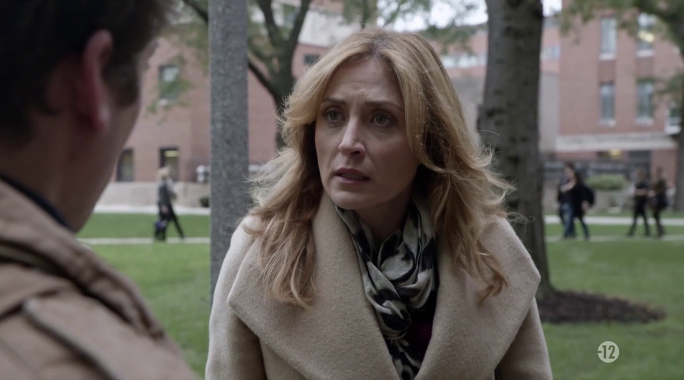 Shameless (US) picture