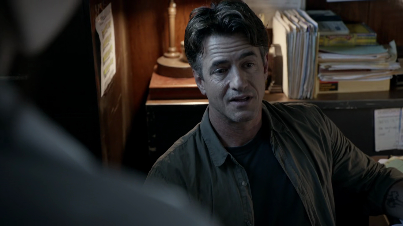 Shameless (US) picture