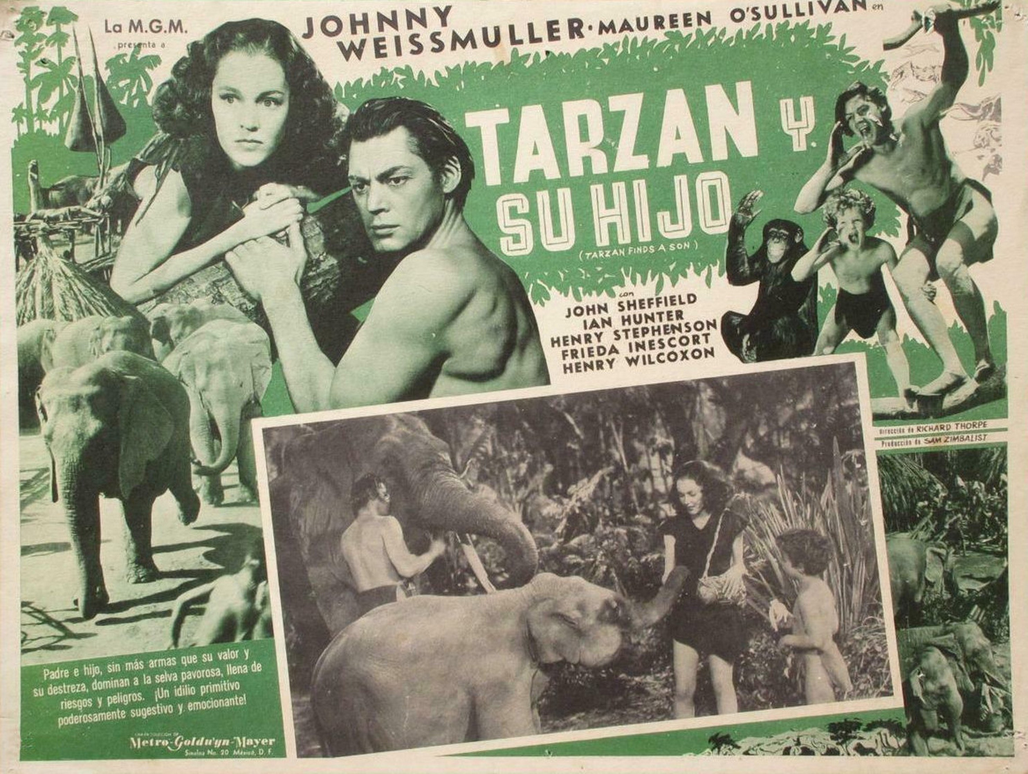 Image of Tarzan and the Amazons (1945)