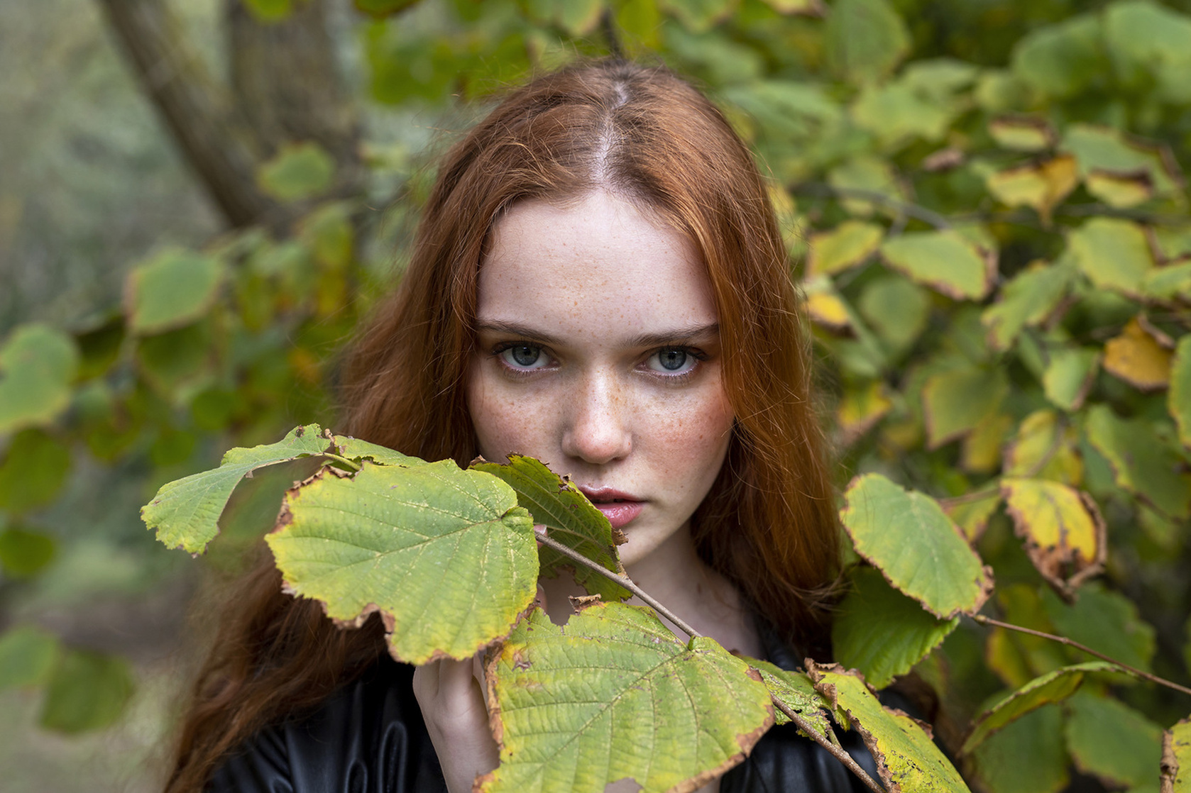 Picture of Viola Koves