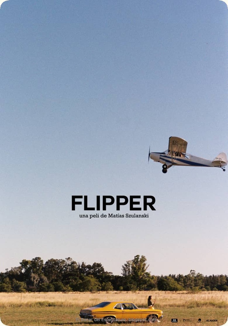 Picture of Flipper