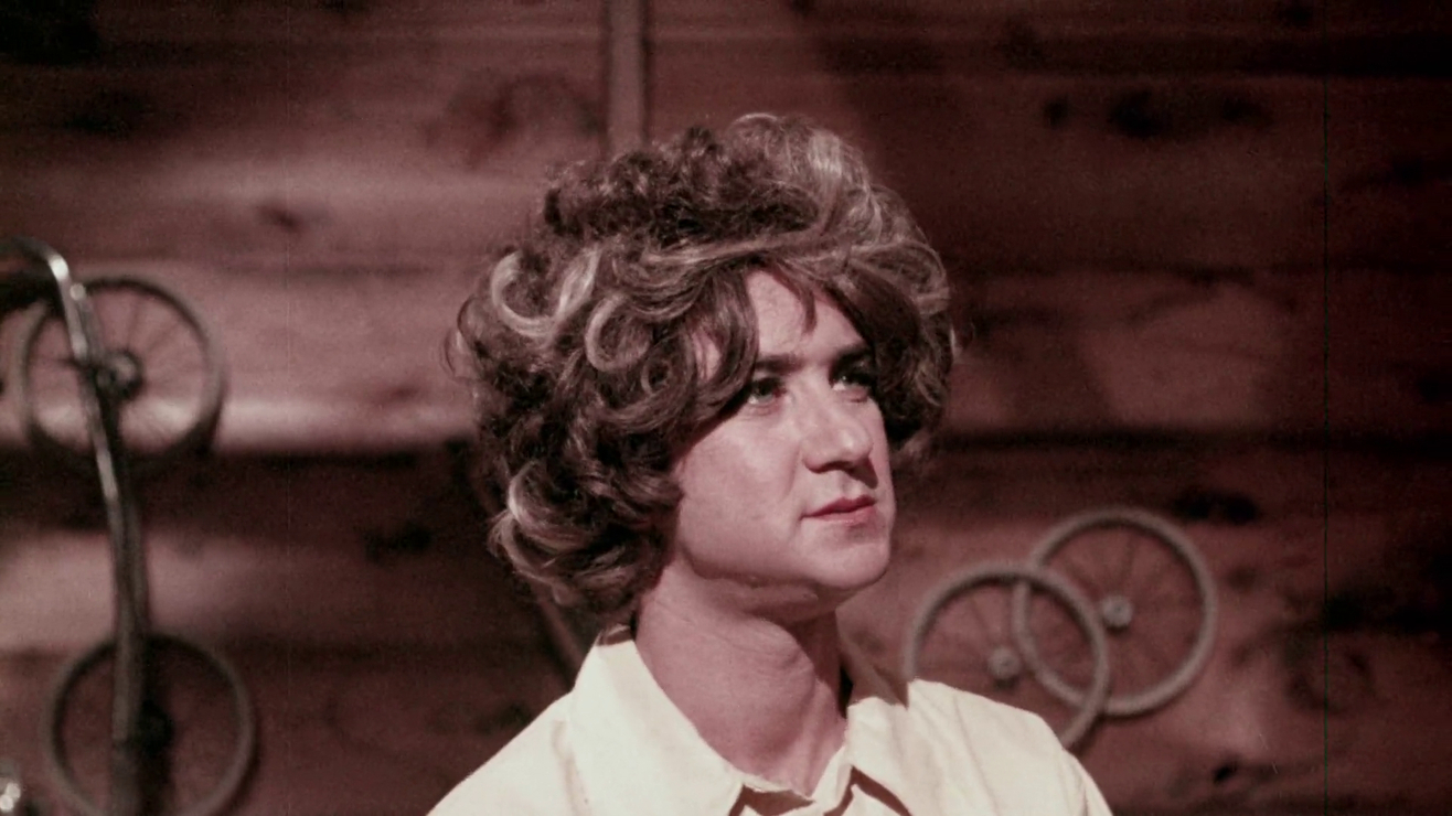 Picture of Sometimes Aunt Martha Does Dreadful Things