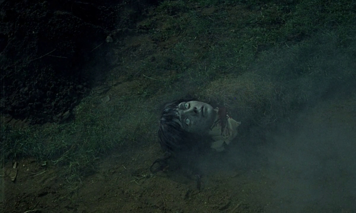 Picture of The Plague of the Zombies