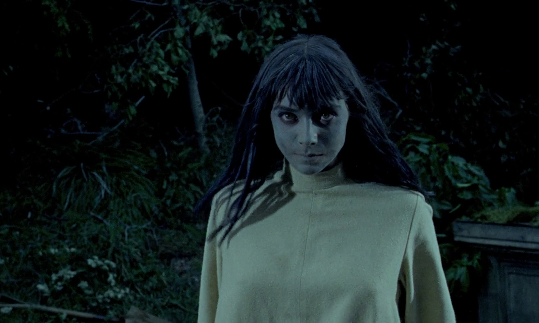 Picture of The Plague of the Zombies