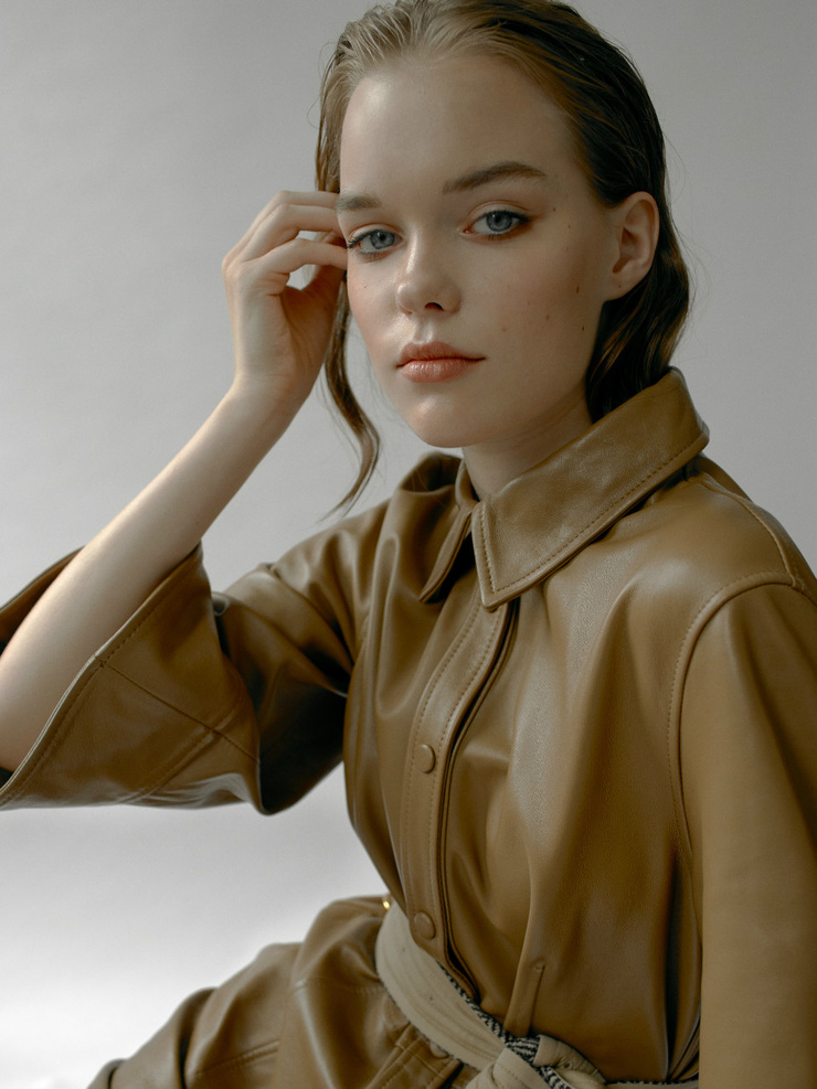 Picture of Delphi Primrose