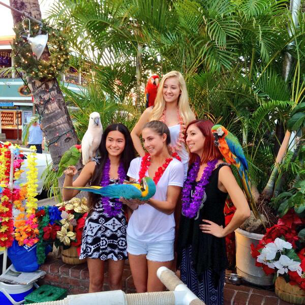 Picture of Ava Sambora