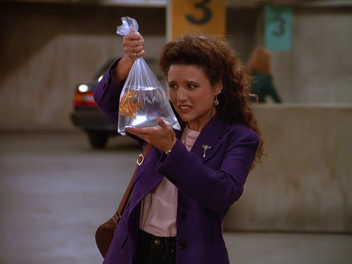 Picture of Elaine Benes