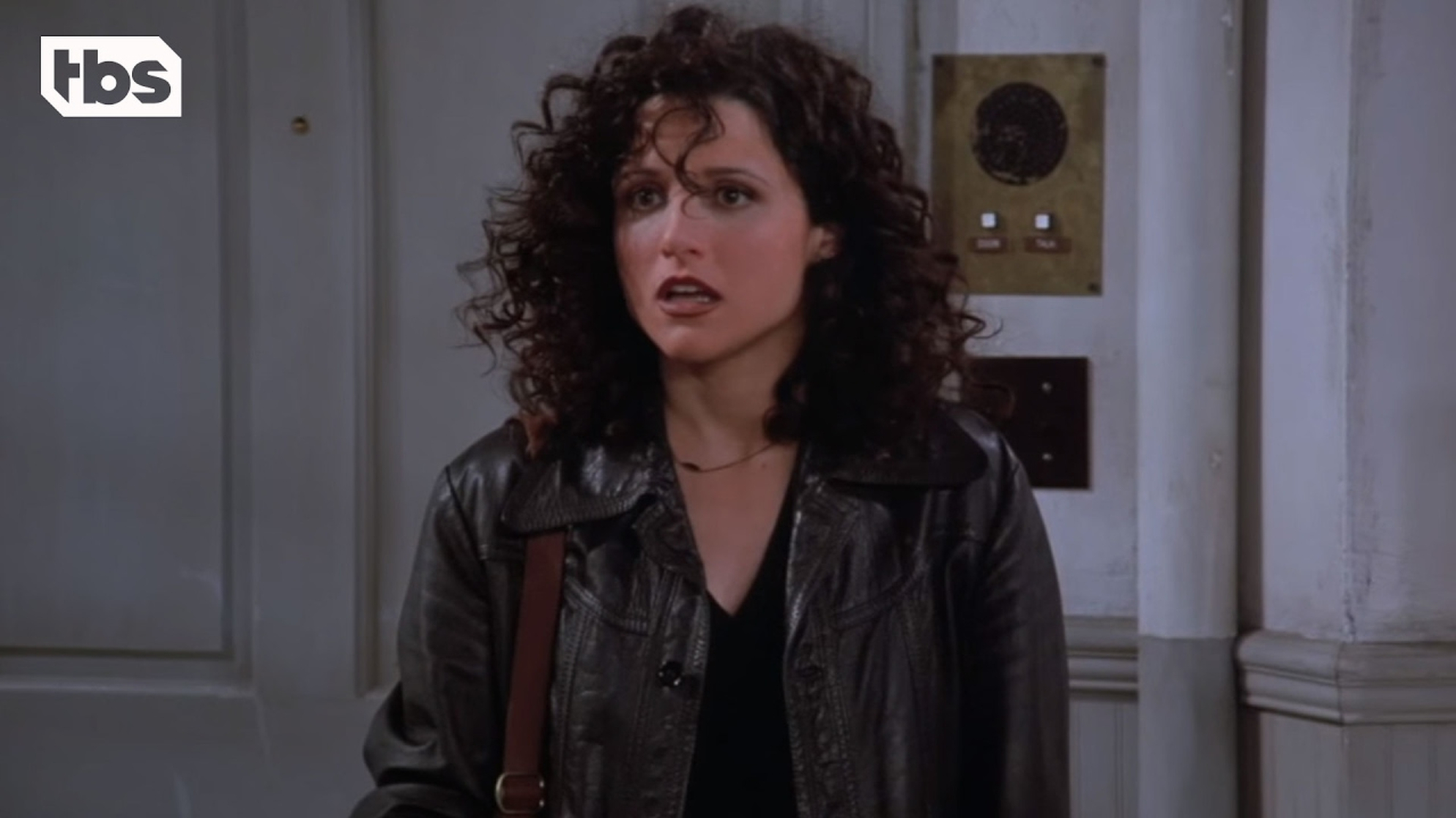 Picture of Elaine Benes