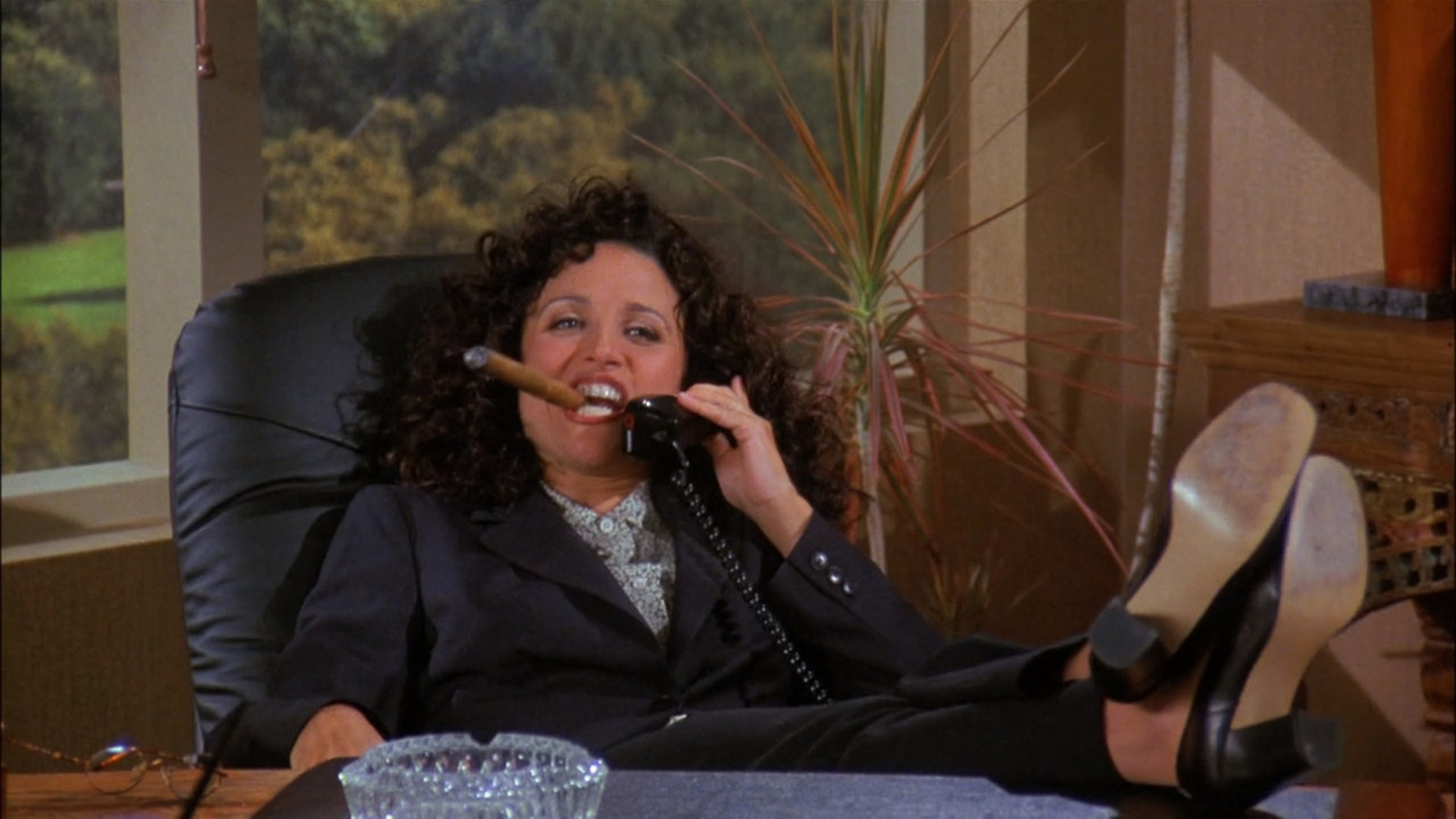 Picture of Elaine Benes