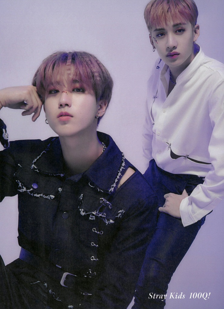 Picture of Stray Kids