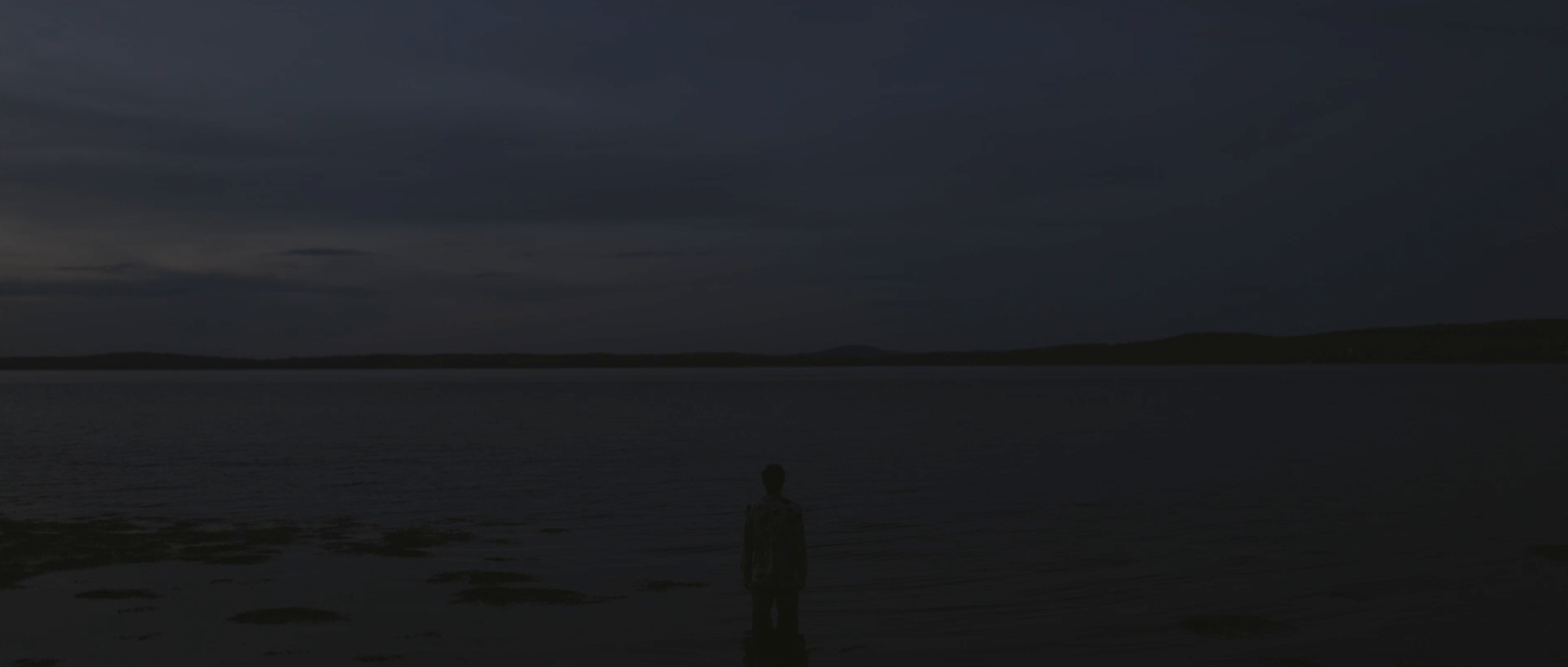 Picture of Dragonfly Boy