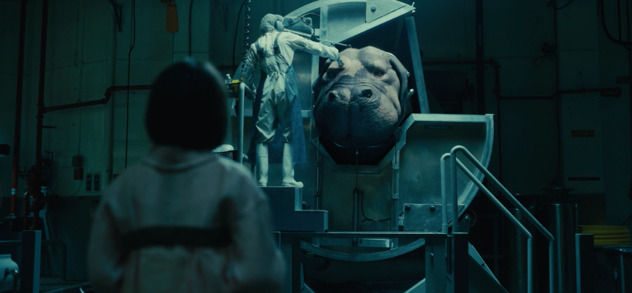 Picture of Okja