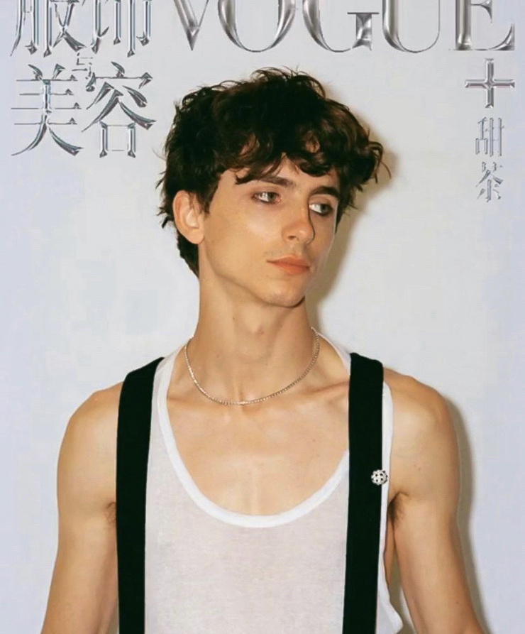 Picture of Timothée Chalamet