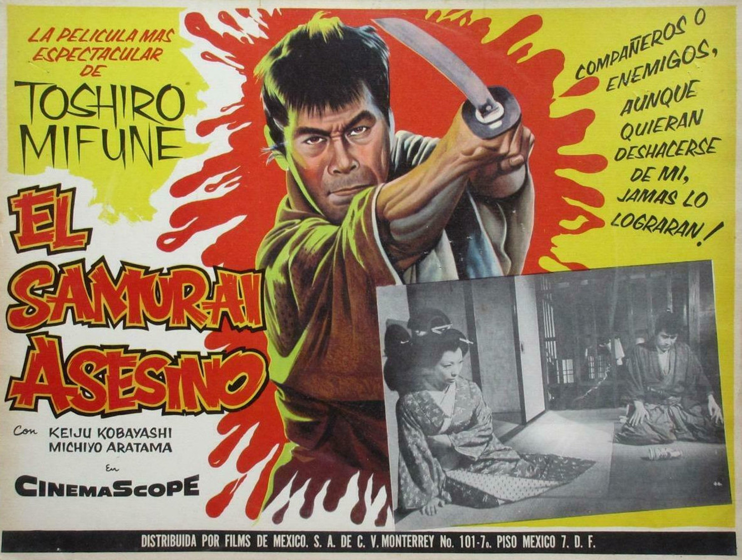 Image of Samurai Assassin