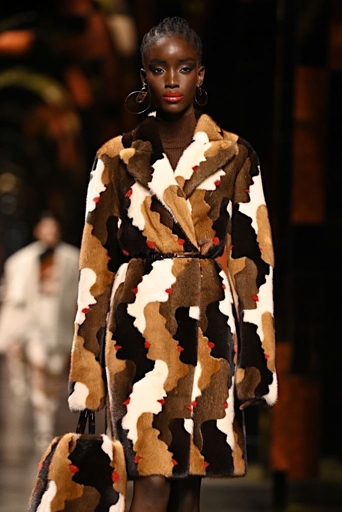 Picture of Maty Fall