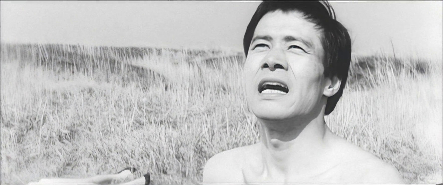 Picture of Violent Virgin