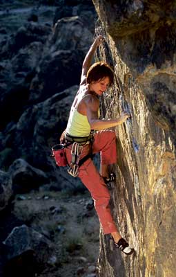 Alice Rietveld image