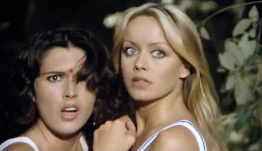 Picture of To Be Twenty