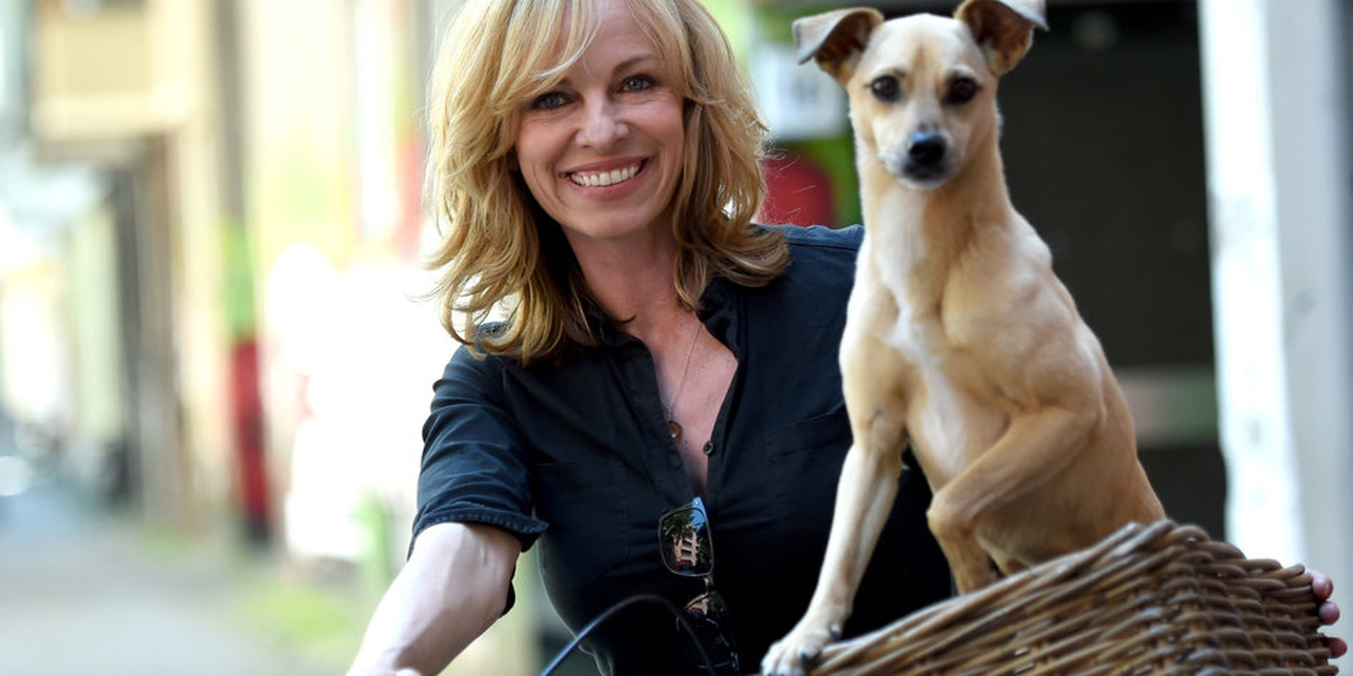 Picture of Stadt, Rad, Hund