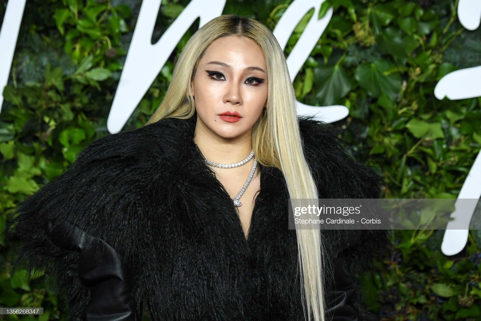 Picture of CL