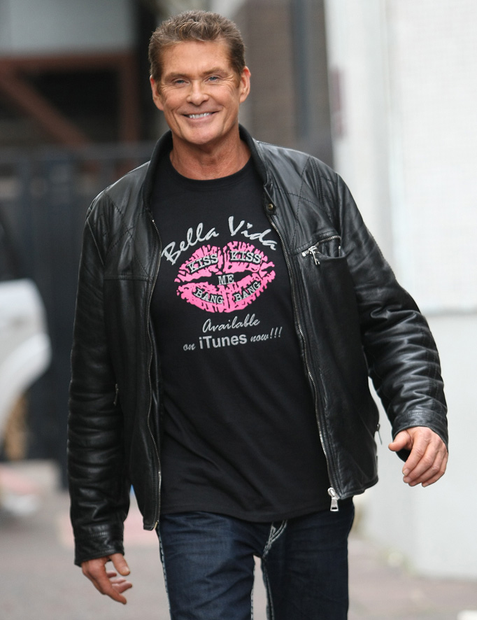 Picture of David Hasselhoff